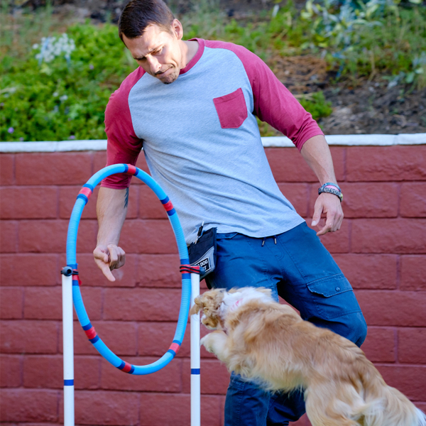 Brandon McMillan's Canine Minded | Emmy-winning host and dog trainer of ...